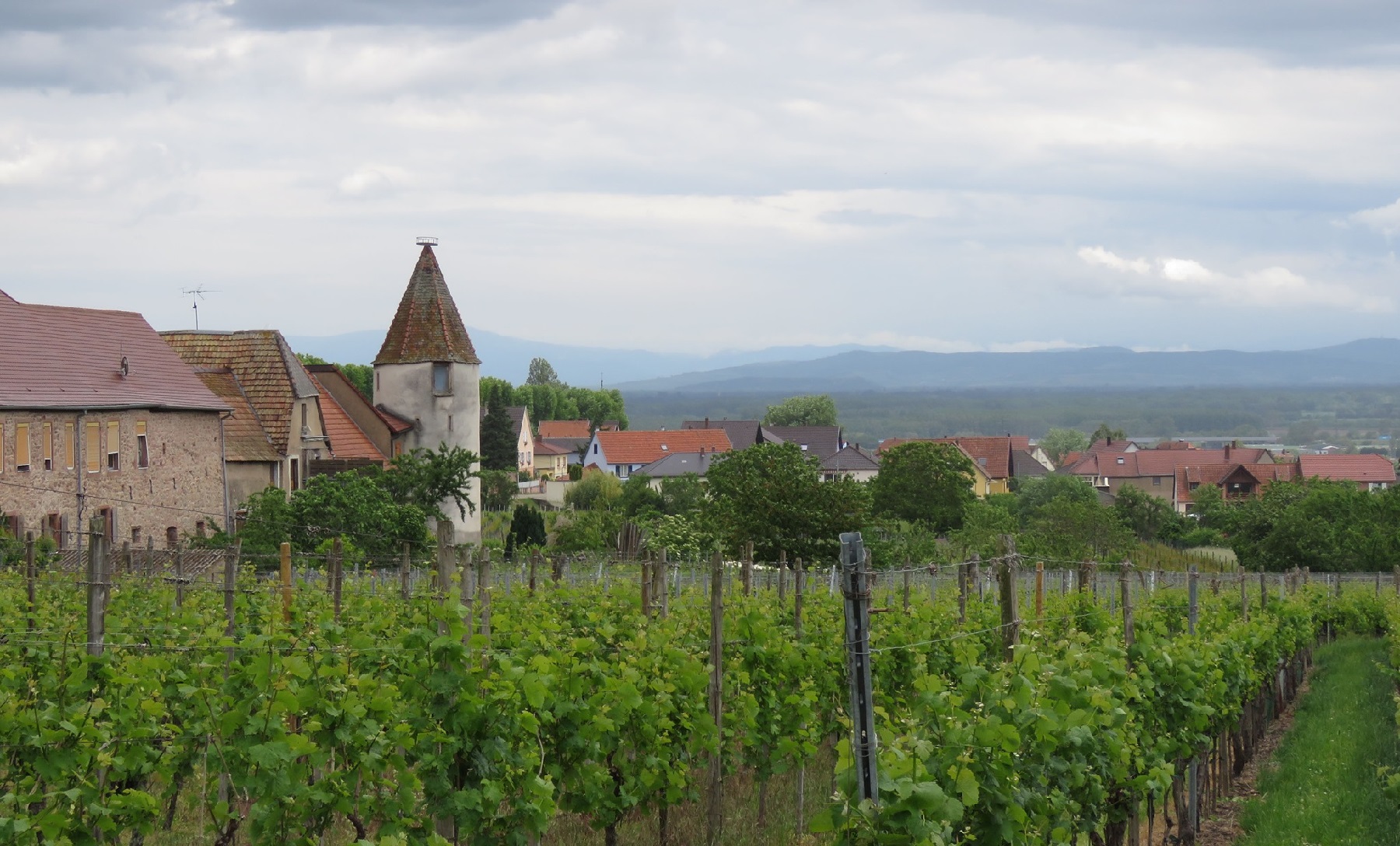 Saint-Hippolyte, village lorrain au cœur de l'Alsace - BLE Lorraine
