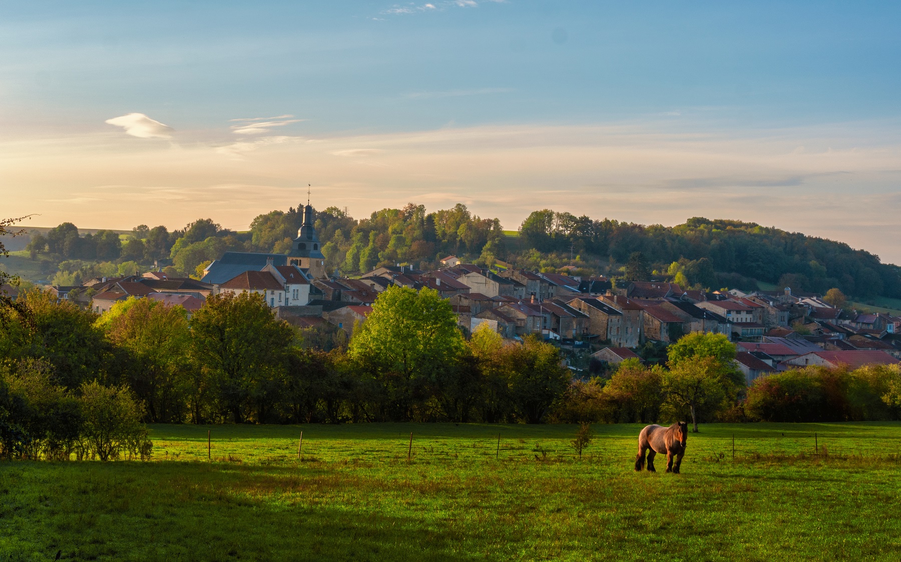 Histoire et Renaissance à Marville - BLE Lorraine