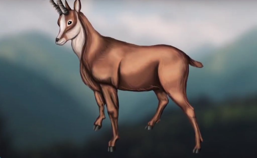 Chasse au dahut dans les Vosges - BLE Lorraine