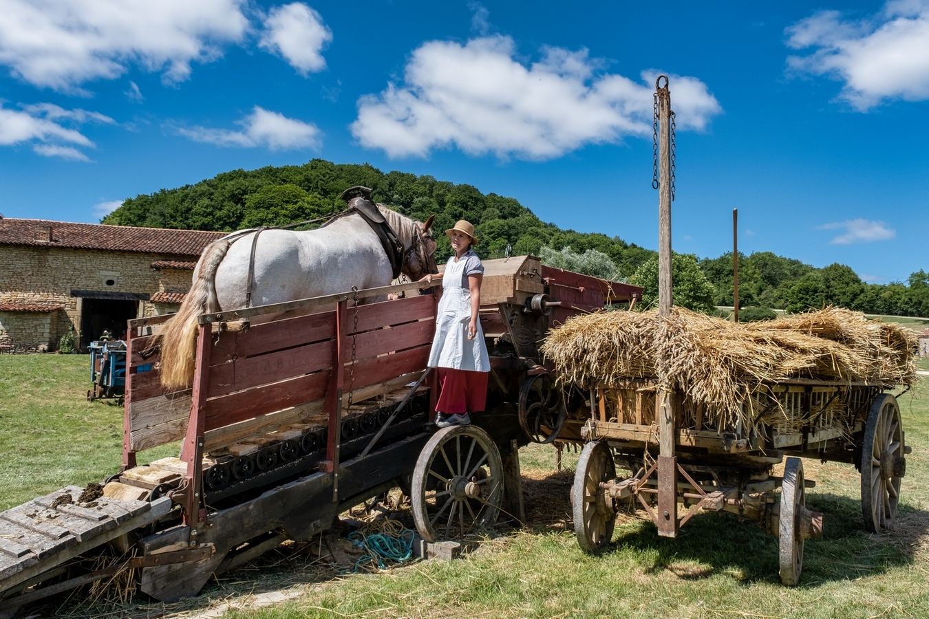 Un ouvrage pour transmettre les savoirs du monde rural en Lorraine ...